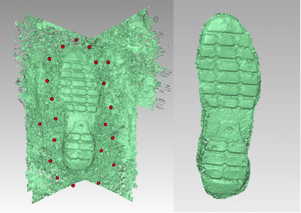 3D Scanning for Forensics | Trevilla Engineering & Design